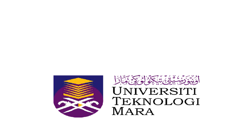 MGT400 Introduction to Management Individual Assignment Reflection ...