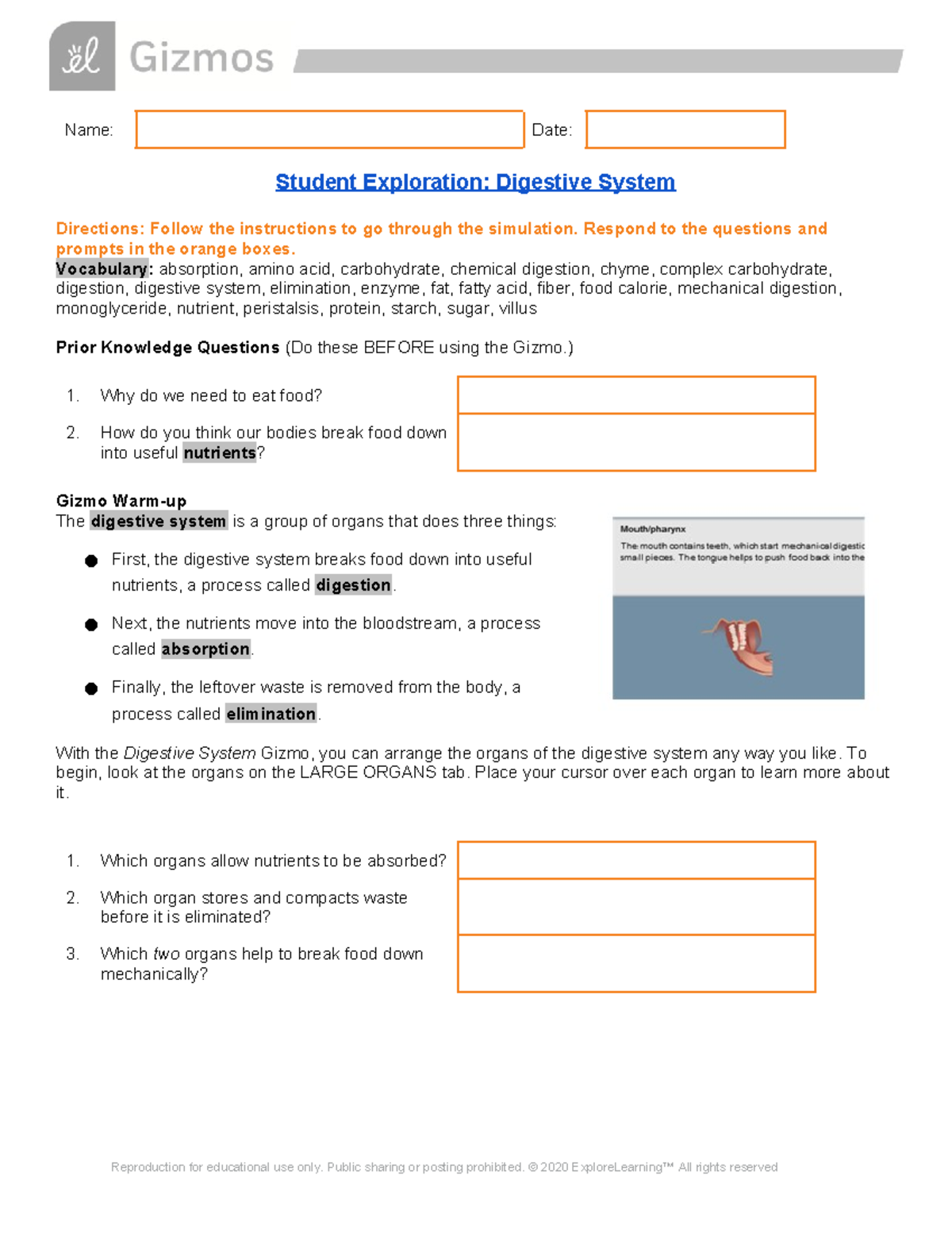 Digestive System Gizmo - Name: Date: Student Exploration: Digestive ...