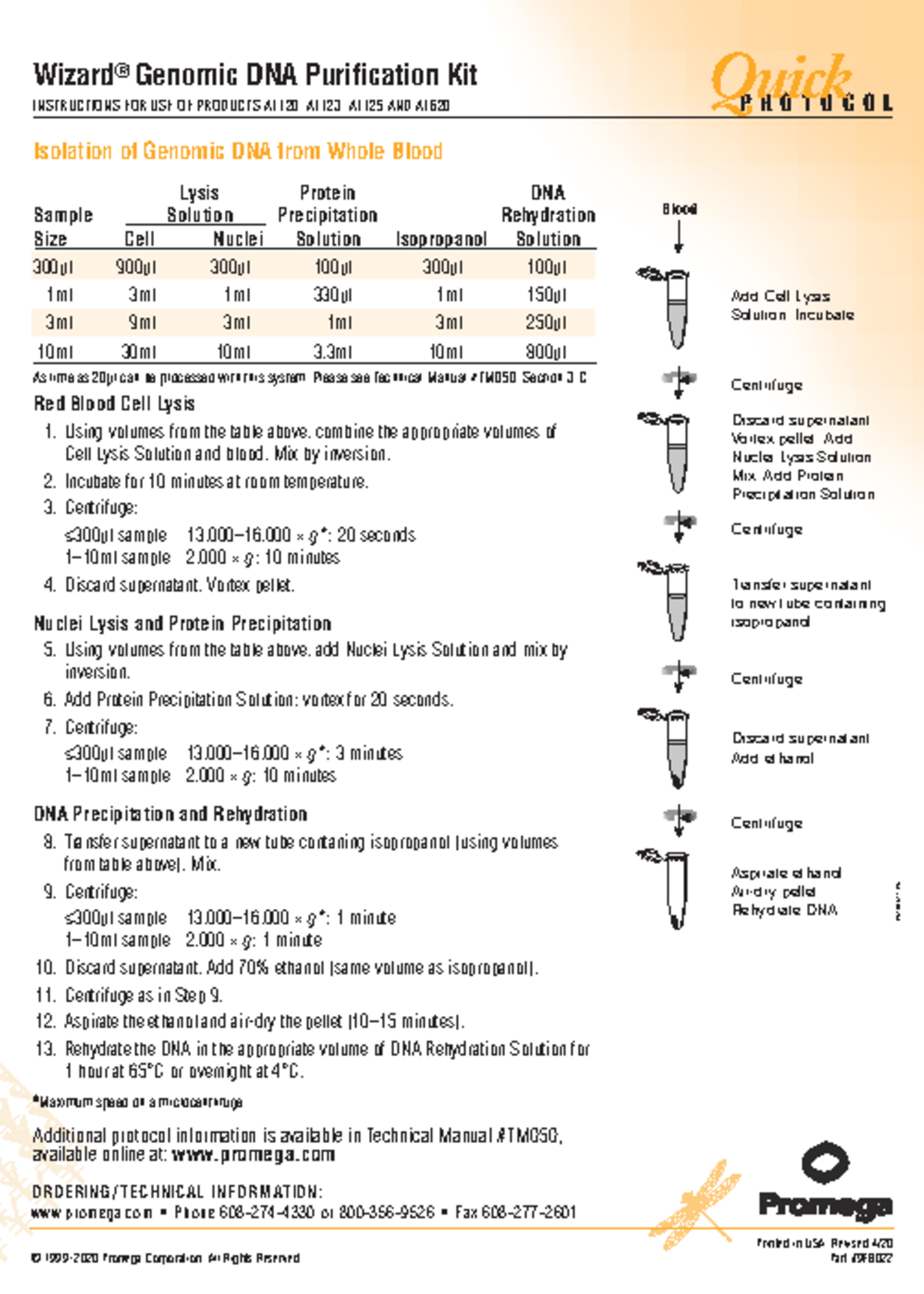 Wizard Genomic DNA Purification Kit Quick Protocol FB022 - Printed in ...