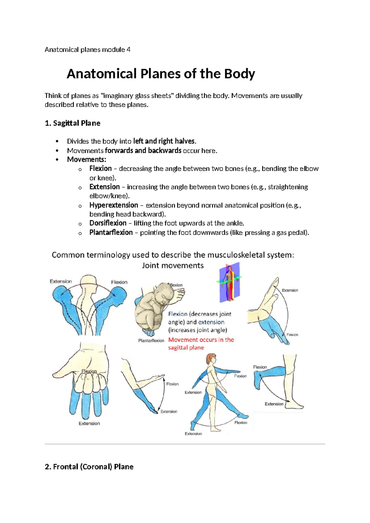 Anatomical Planes Module 4: Understanding Body Movements - Studocu