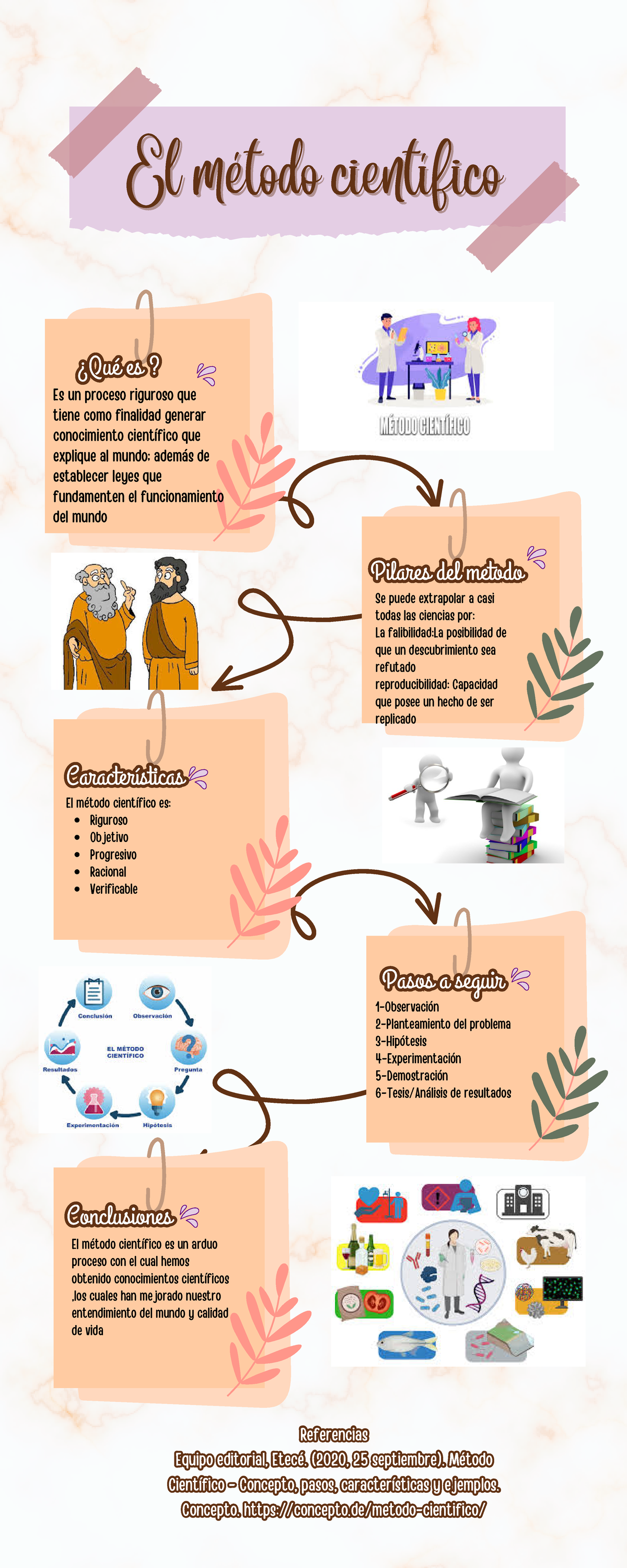 Infografía: Entendiendo el Método Científico y sus Pilares - Studocu