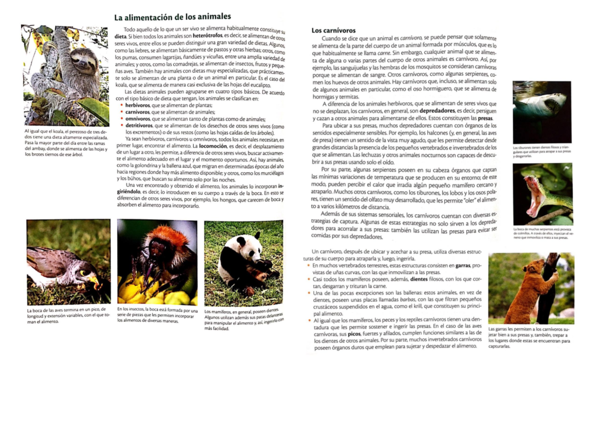 La alimentación de los animales 5to 2023 - ciencias naturales - Studocu