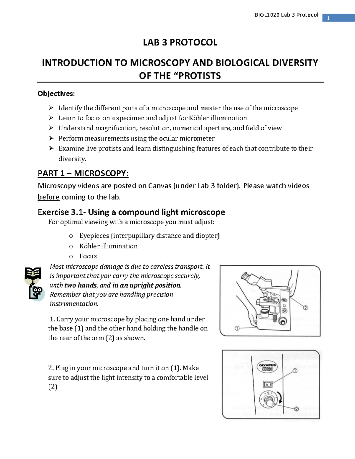 Lab 3 Protocol: Microscopy and Protist Diversity Techniques - Studocu