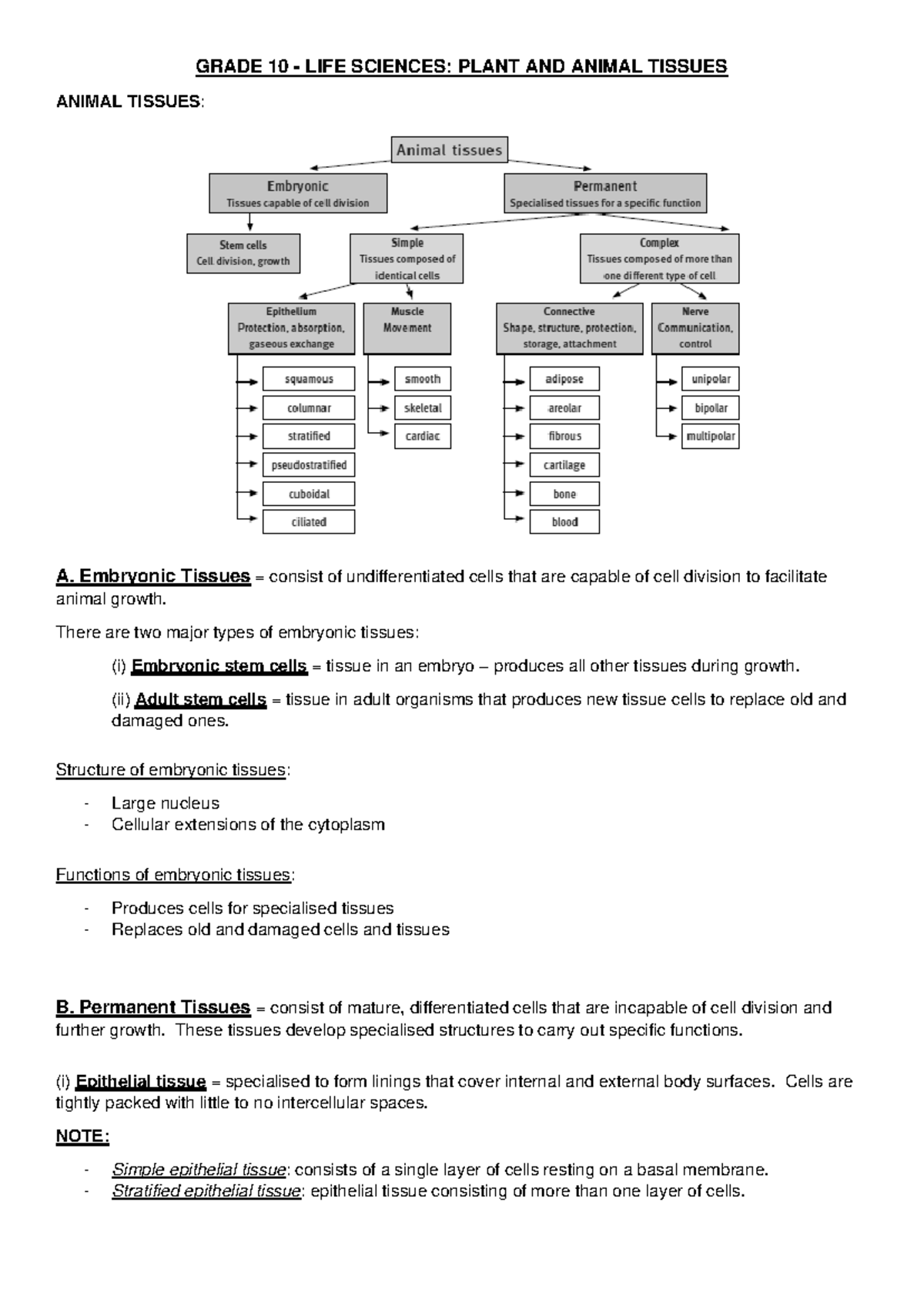 G10 Life Sciences Summary: Types & Functions of Animal Tissues - Studocu