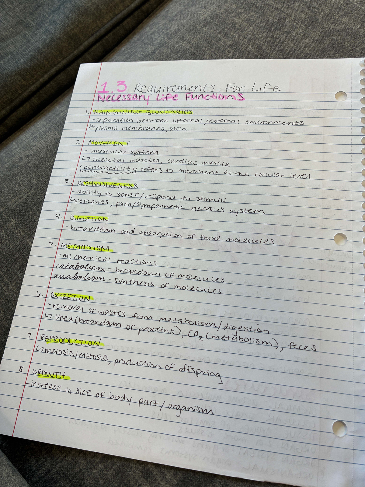 Econ 101 Midterm Exam: Comprehensive Study Notes on Life Functions ...