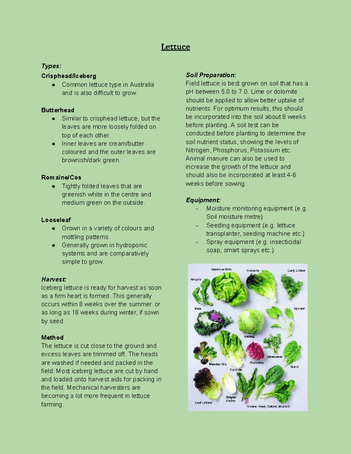 Lettuce Types: Common Varieties & Growing Tips in Australia - Studocu