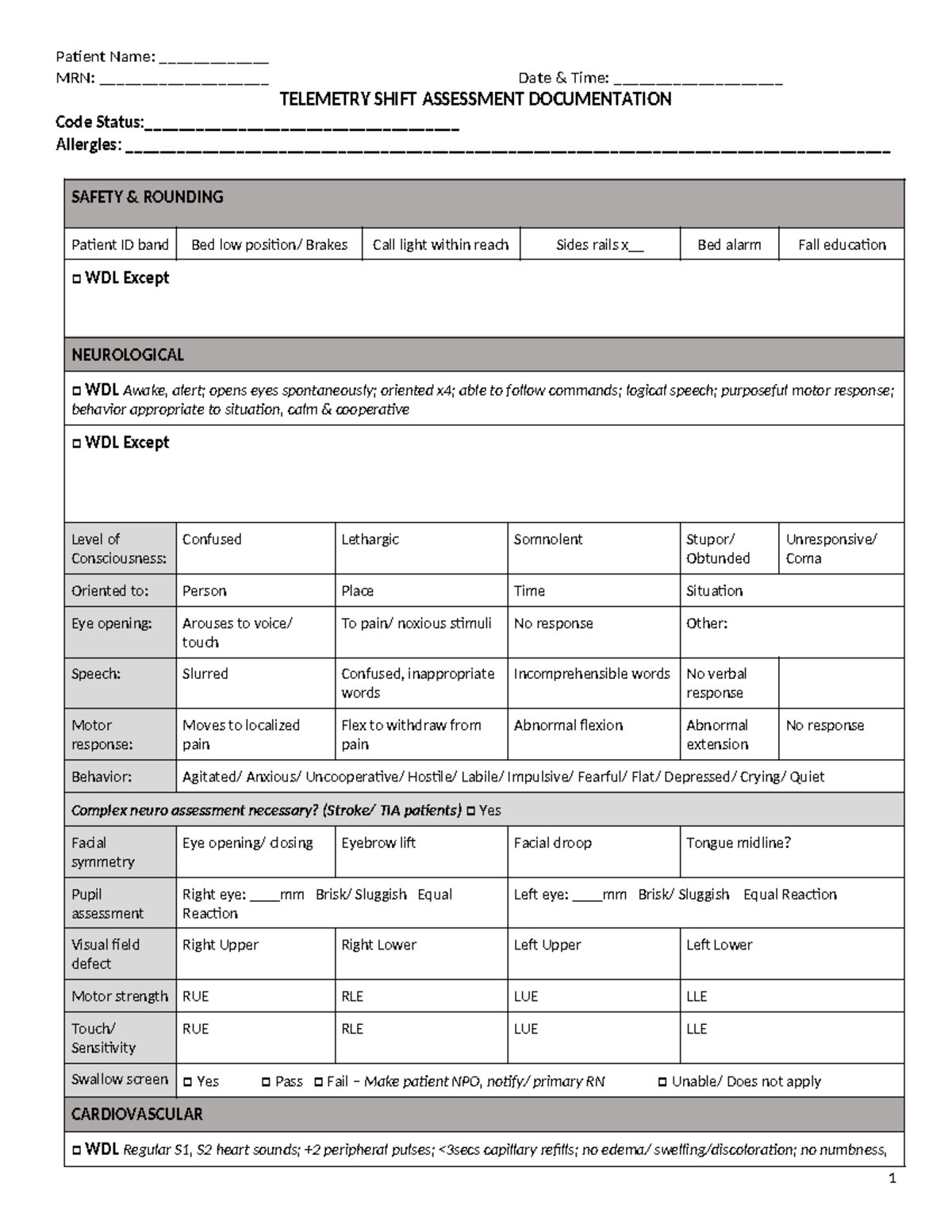 Comprehensive Head to Toe Assessment Documentation - Sample Format ...