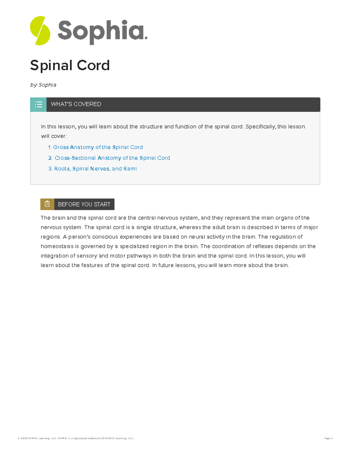 Anatomy and Function of the Spinal Cord: CNS Overview (BIOL 101) - Studocu