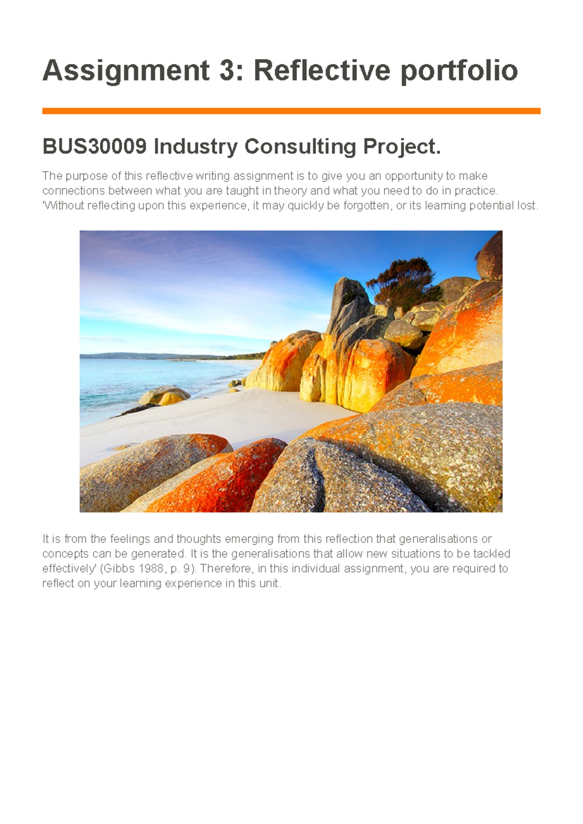 BUS30009 Assignment 3: Reflective Portfolio on Industry Consulting ...