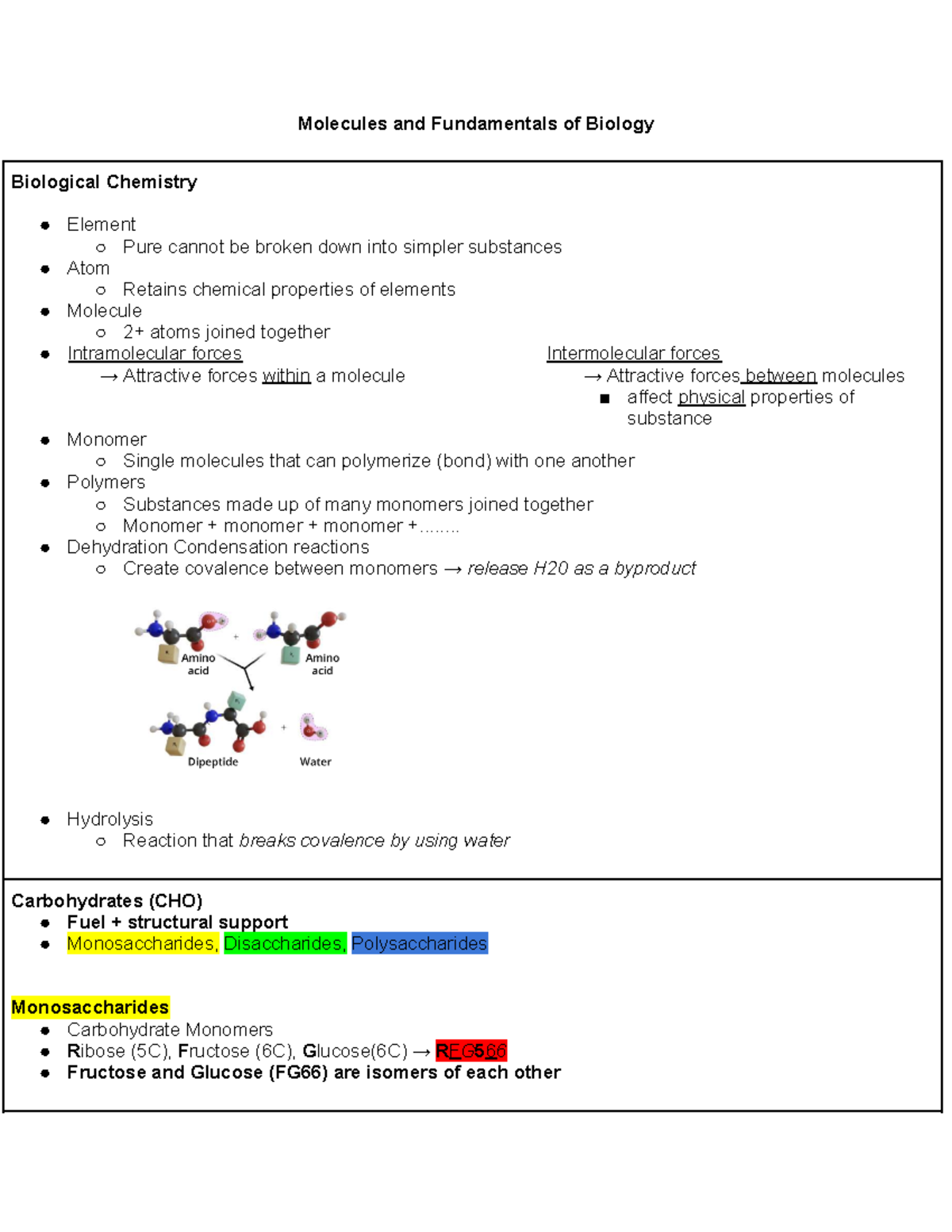 Biological Chemistry 101: Molecules & Fundamentals Study Notes - Studocu