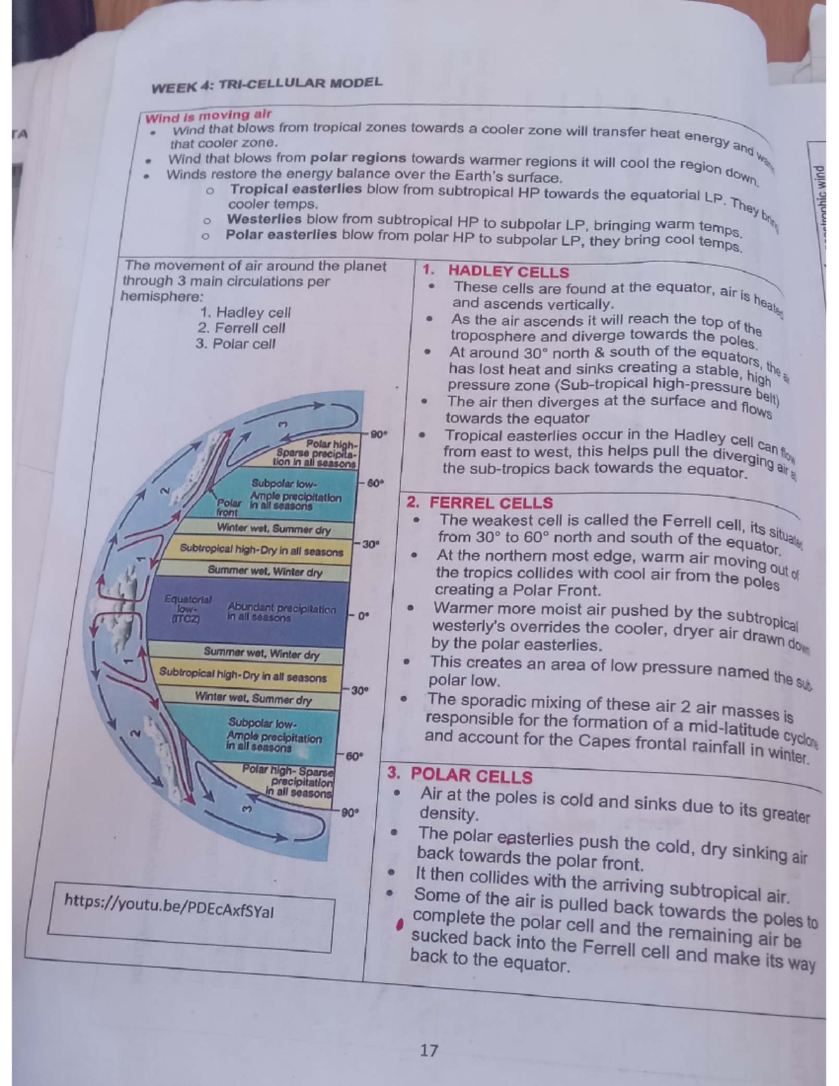WEEK 4: MODEL Wind Circulation and Hadley Cells Overview - Studocu
