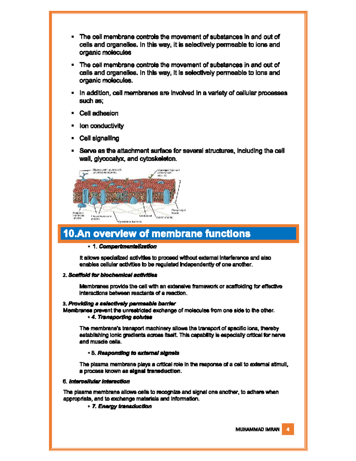 Cell Membrane Functions and Structure: A Comprehensive Overview (BIO101 ...
