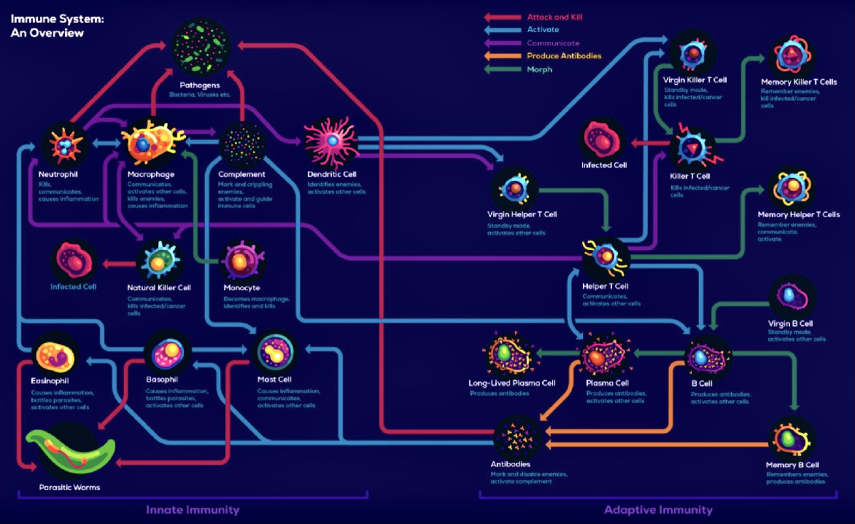 IMG 8269 - Personally has helped me, but may help you too - Studocu