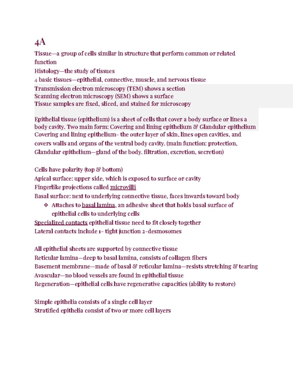 A&P 2B Quiz Notes: Tissue Types, Functions & Microscopy Insights - Studocu