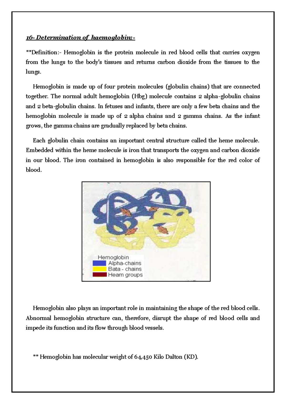 Hb - Hemoglobin: Structure, Synthesis, and Clinical Significance - Studocu