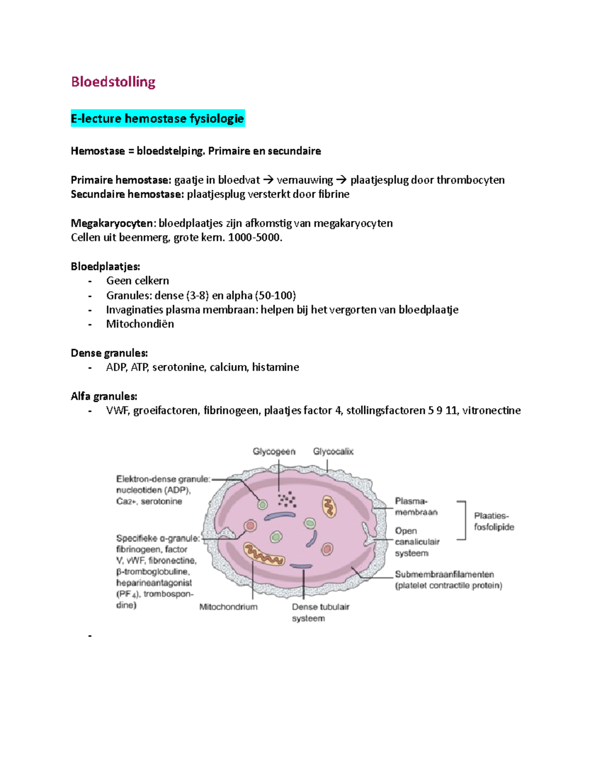 Bloedstolling & Hemostase: Aantekeningen 2020/2021 - Studeersnel