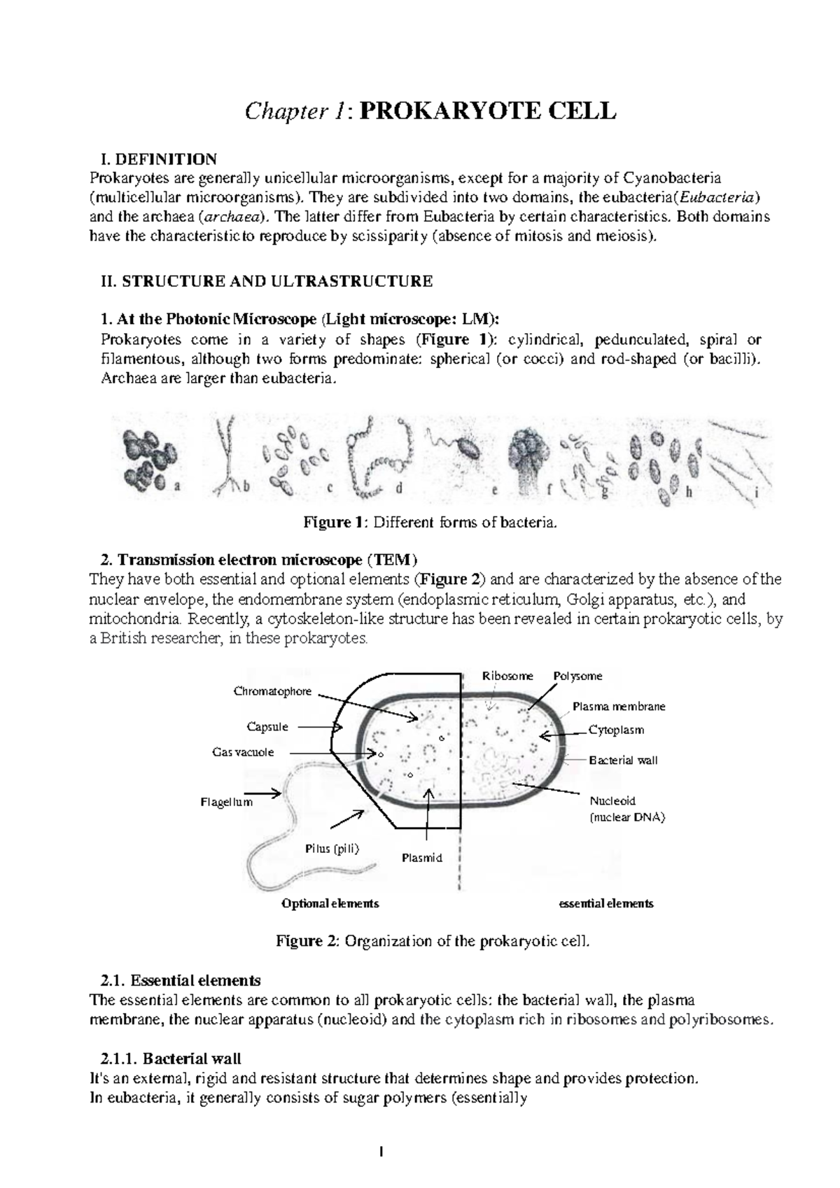 Chapter 1: Prokaryote Cell Structure and Function - Studocu