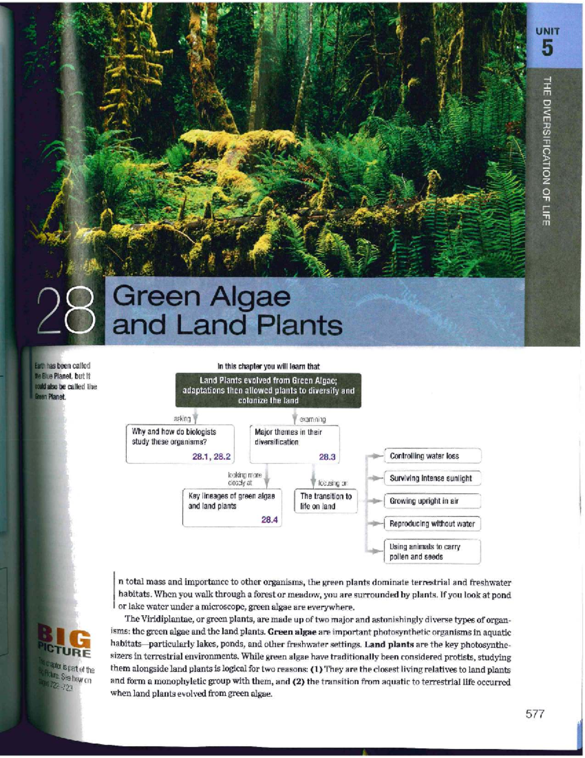 Final Exam Study Guide for Course ABC123: Green Algae & Land Plants ...