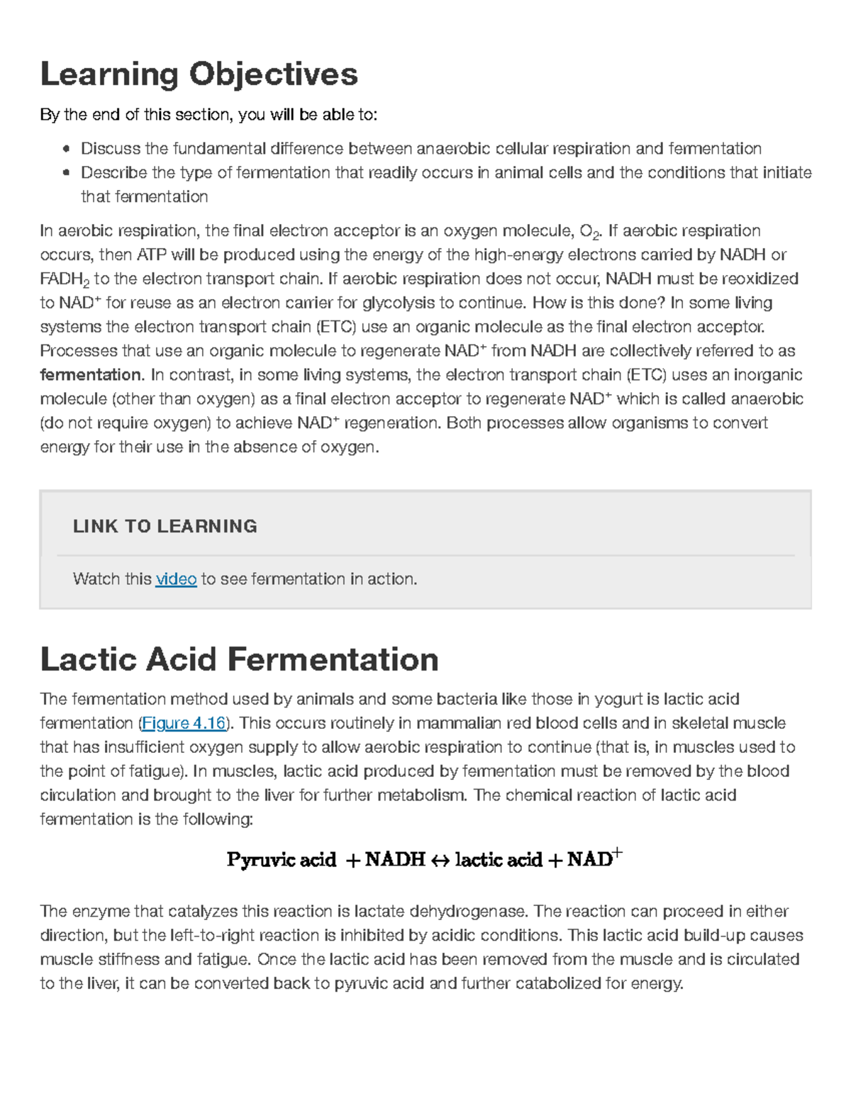 Understanding Fermentation: Anaerobic Respiration & Lactic Acid ...