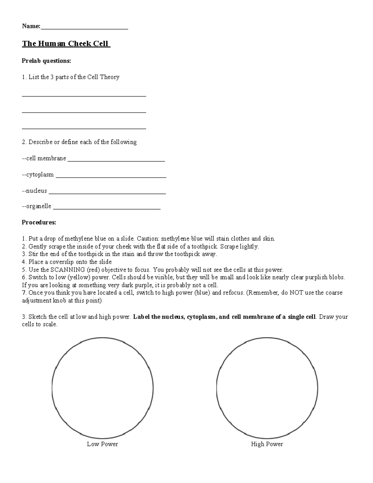 Cheek and Onion Cell Lab (Biology 101) - Procedures and Observations ...