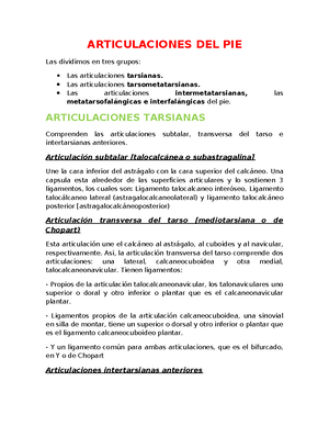 Anatomia DEL Gusto - ANATOMIA DEL GUSTO El gusto es uno de los cinco ...