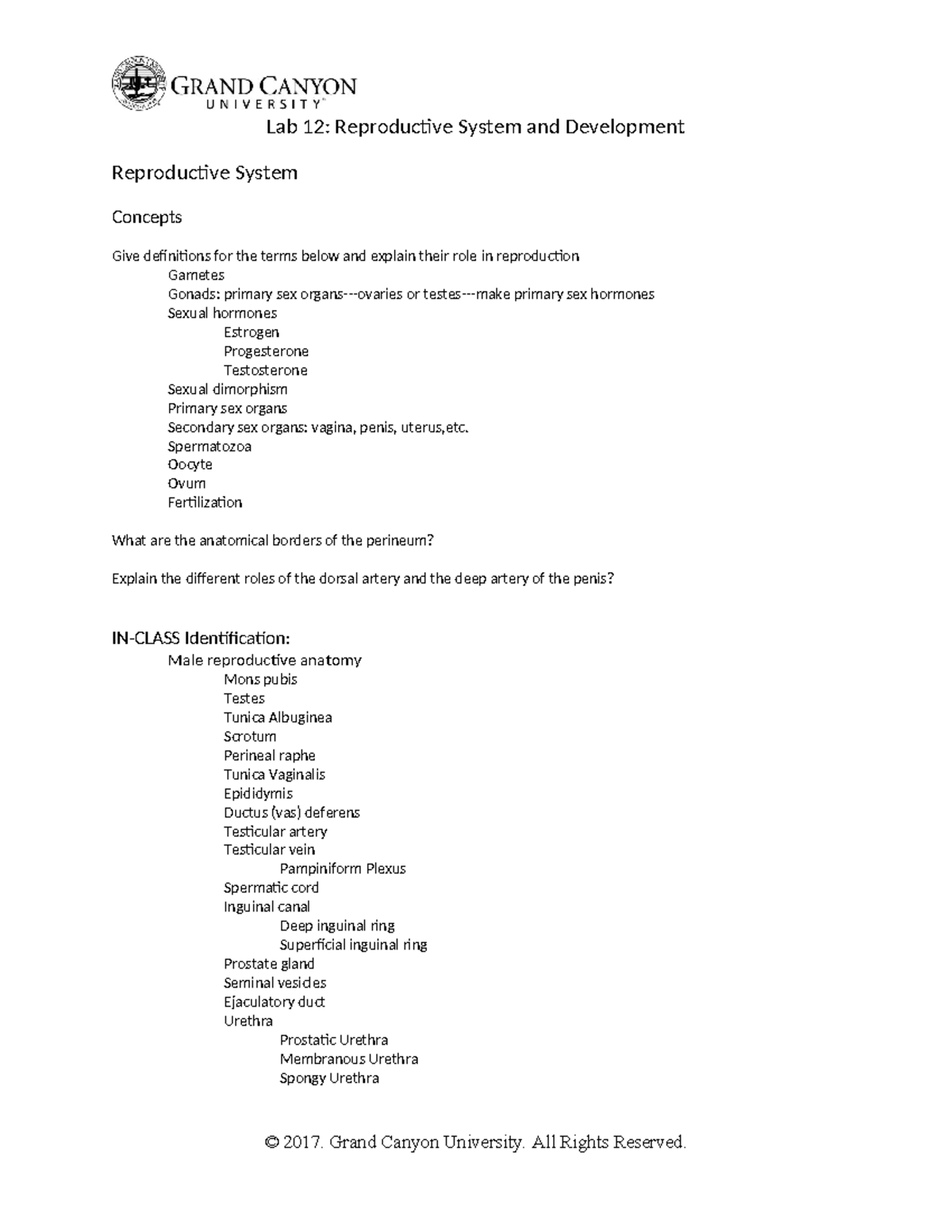 BIO 211L RS Lab Week 12: Detailed Overview of Reproductive Anatomy ...