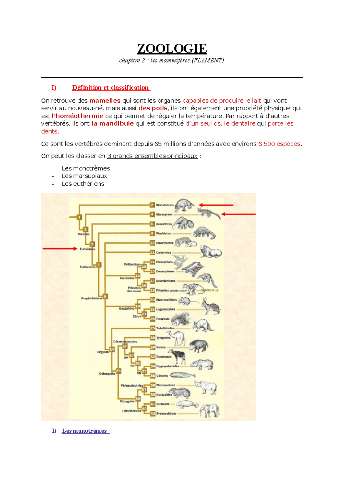 Zoologie Chapitre 2 : Les Mammifères - Classification et ...