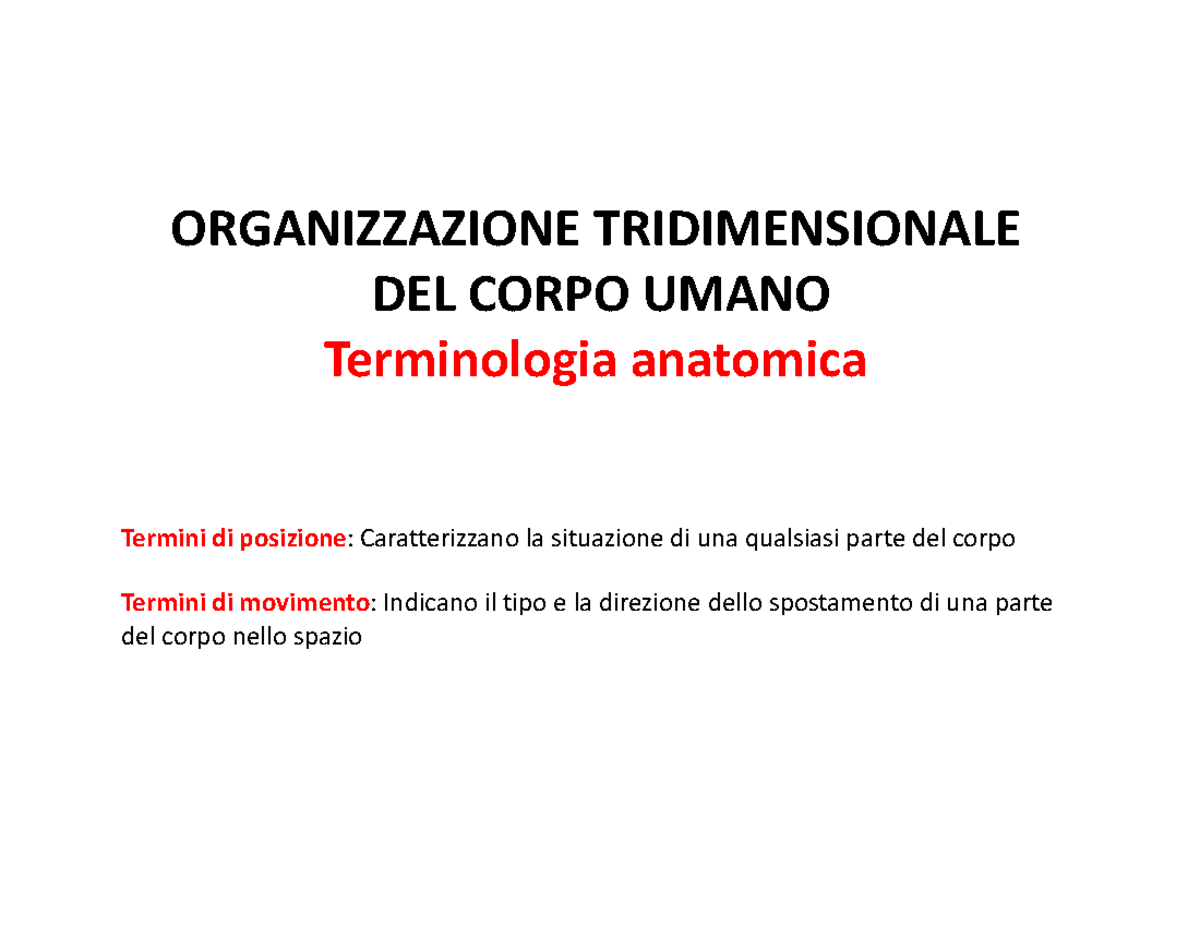 Terminologia Anatomica: Posizione e Movimento del Corpo Umano - Studocu