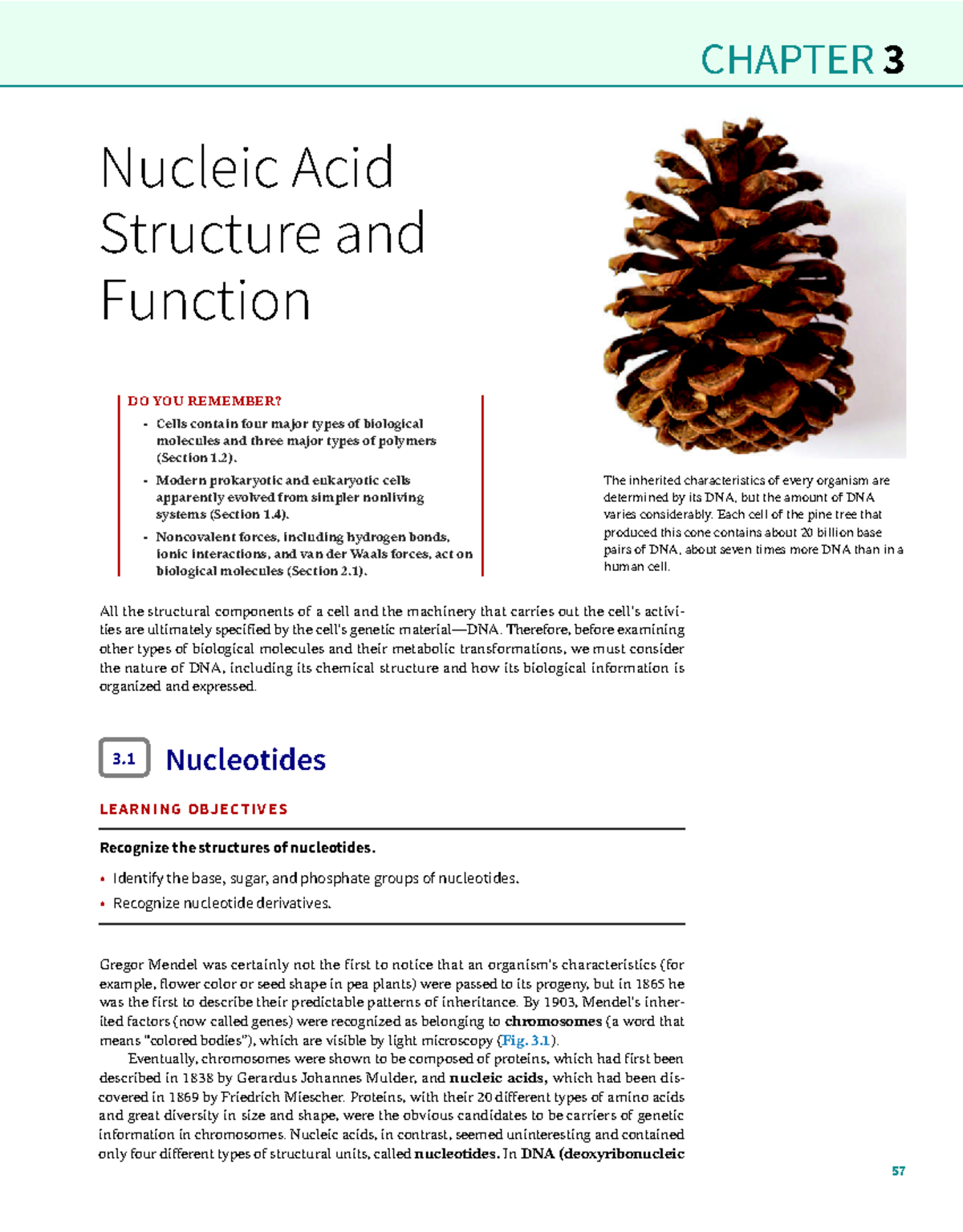 CHAPTER 3: Nucleic Acid Structure and Function - Key Concepts and ...