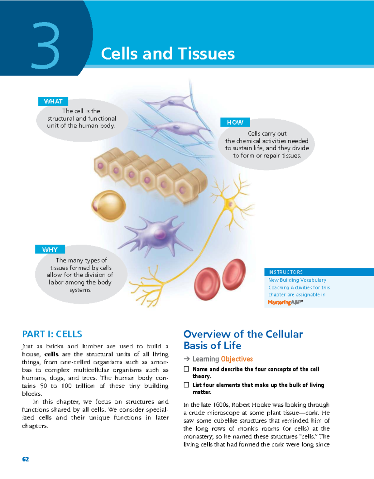 Bio Lec C3: Cells and Tissues Overview and Functions - Studocu