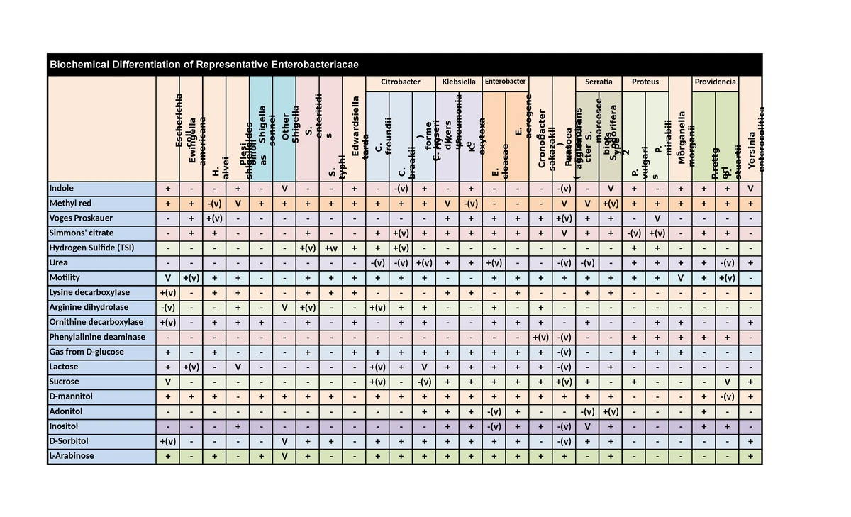 MTAP3: Parasitology Prelecture Exam 1 Study Guide for 2025 - Studocu