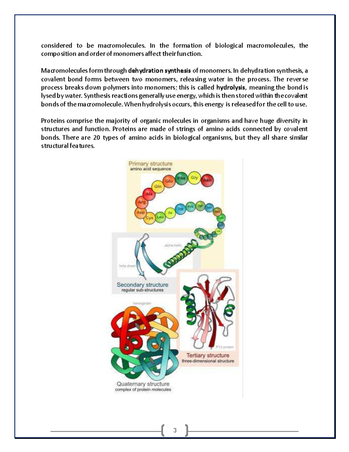 Biological Macromolecules: Formation and Function Insights - Studocu