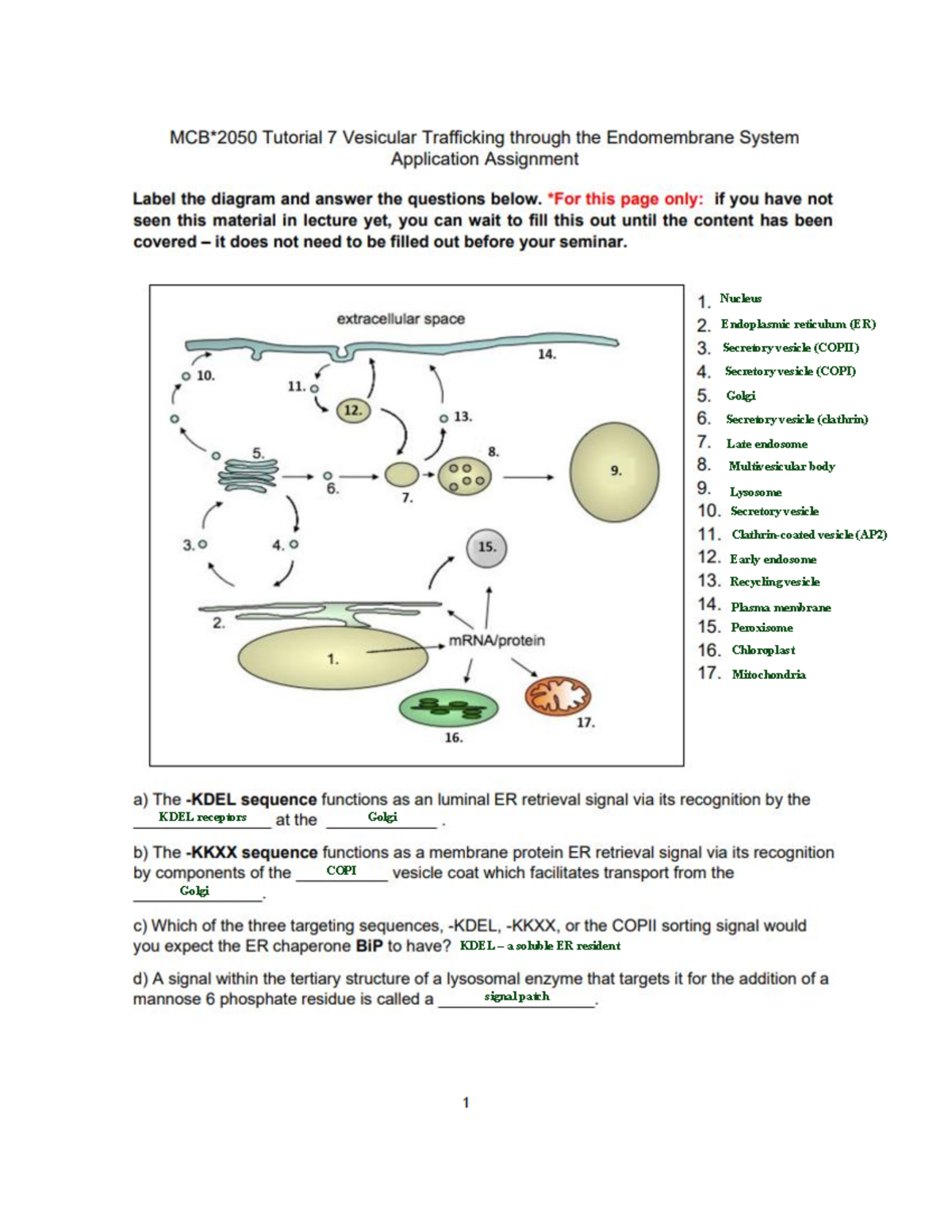 MCB 2050 Seminar 7: Cellular Organelle Transport Mechanisms - Studocu