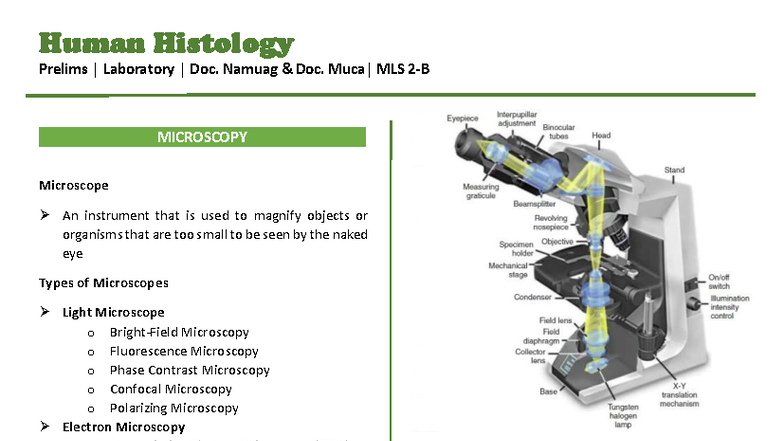 Human Histology Prelims Lab: Microscopy Techniques Overview - Studocu