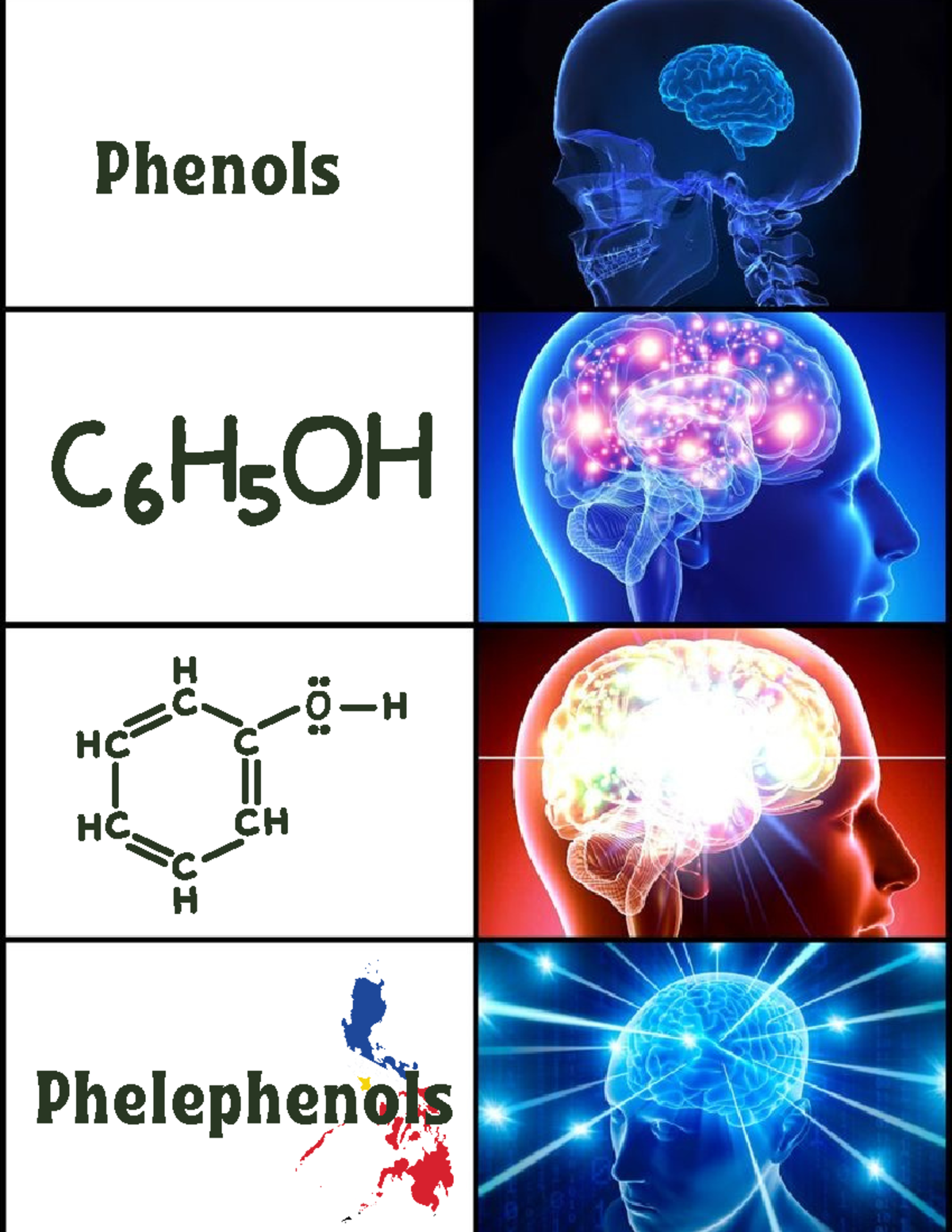 Phenols - Memes - Bs pharmacy - Phenols C6H5OH IC HC HC CH C H ...