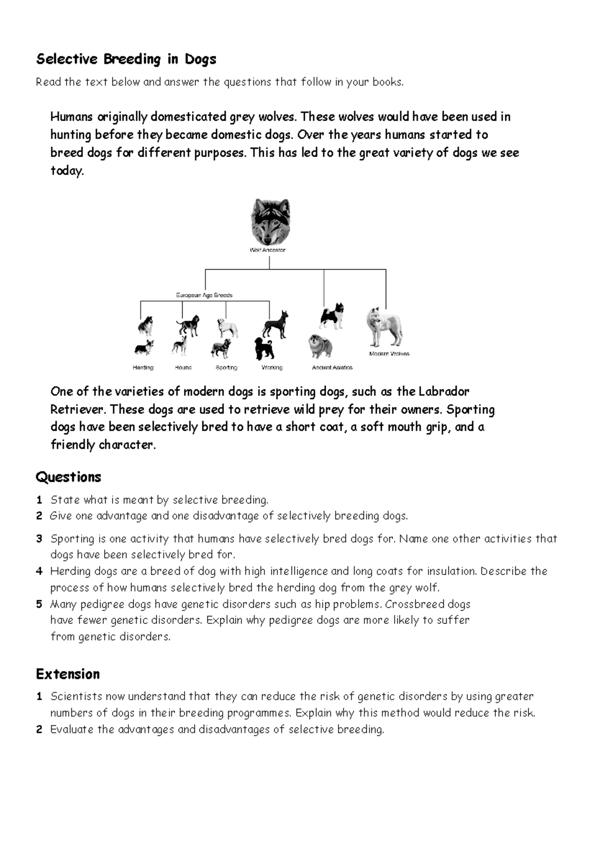Selective Breeding in Dogs: Worksheet Questions & Activities - Studocu