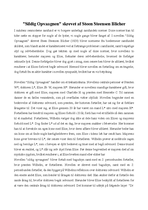 Dansk synopsis - Dansk synopsis Fordybelsesområde: Essay Prøveoplæg ...