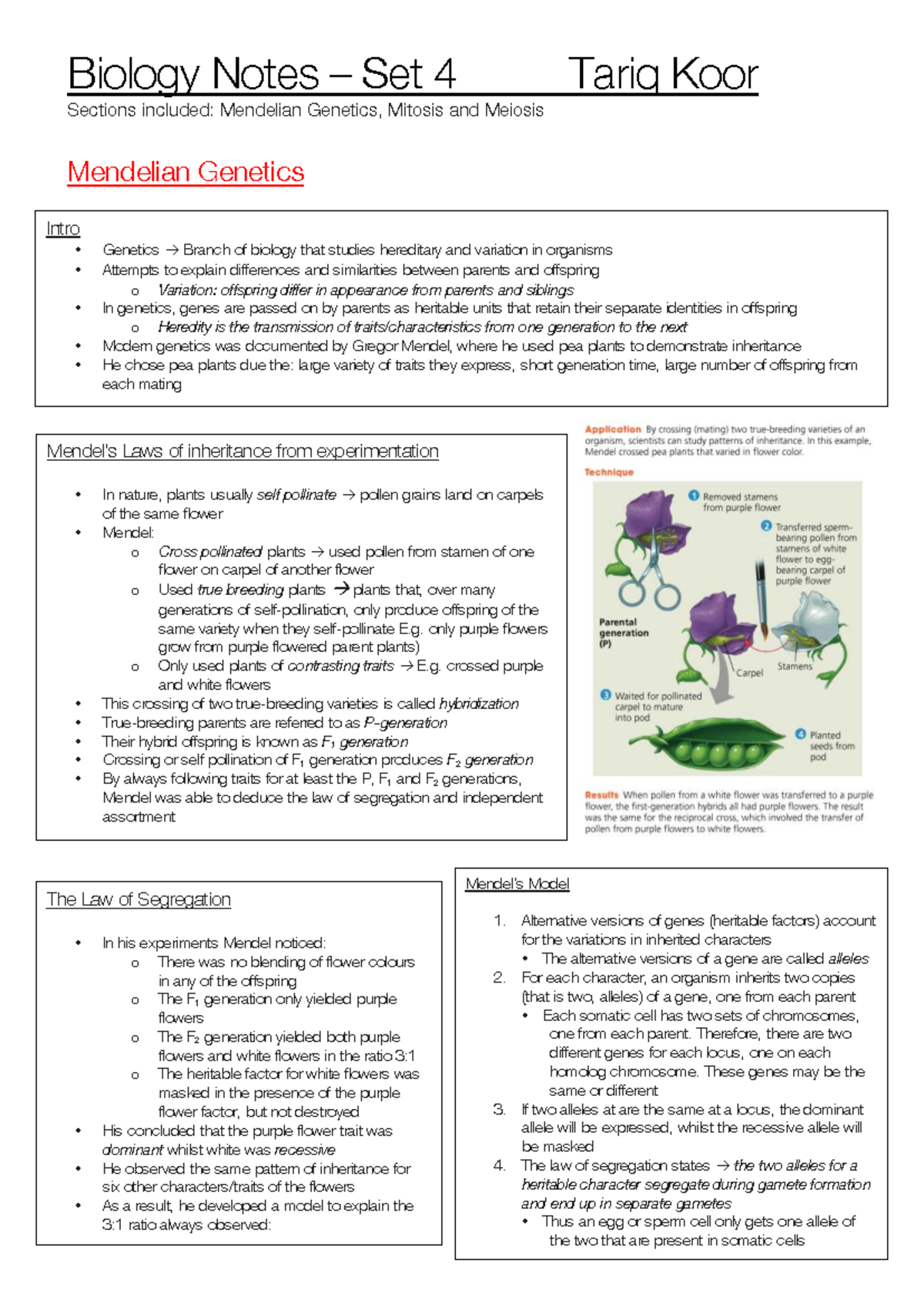 Biology Notes Set 4 (Genetics): Mendelian Genetics, Mitosis & Meiosis ...