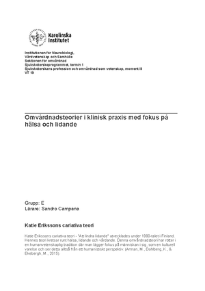 VIPS modellen - Omvårdnadsbedömning enligt VIPS-modellen är en struktur ...