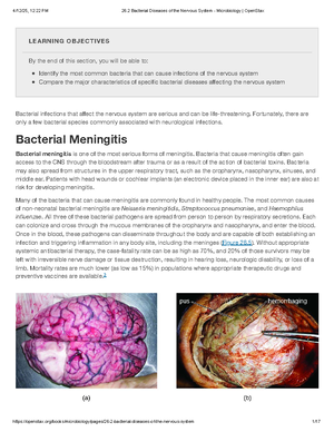Microbe mission notes 2025 div b science olympiad - Microscopy: Bright ...