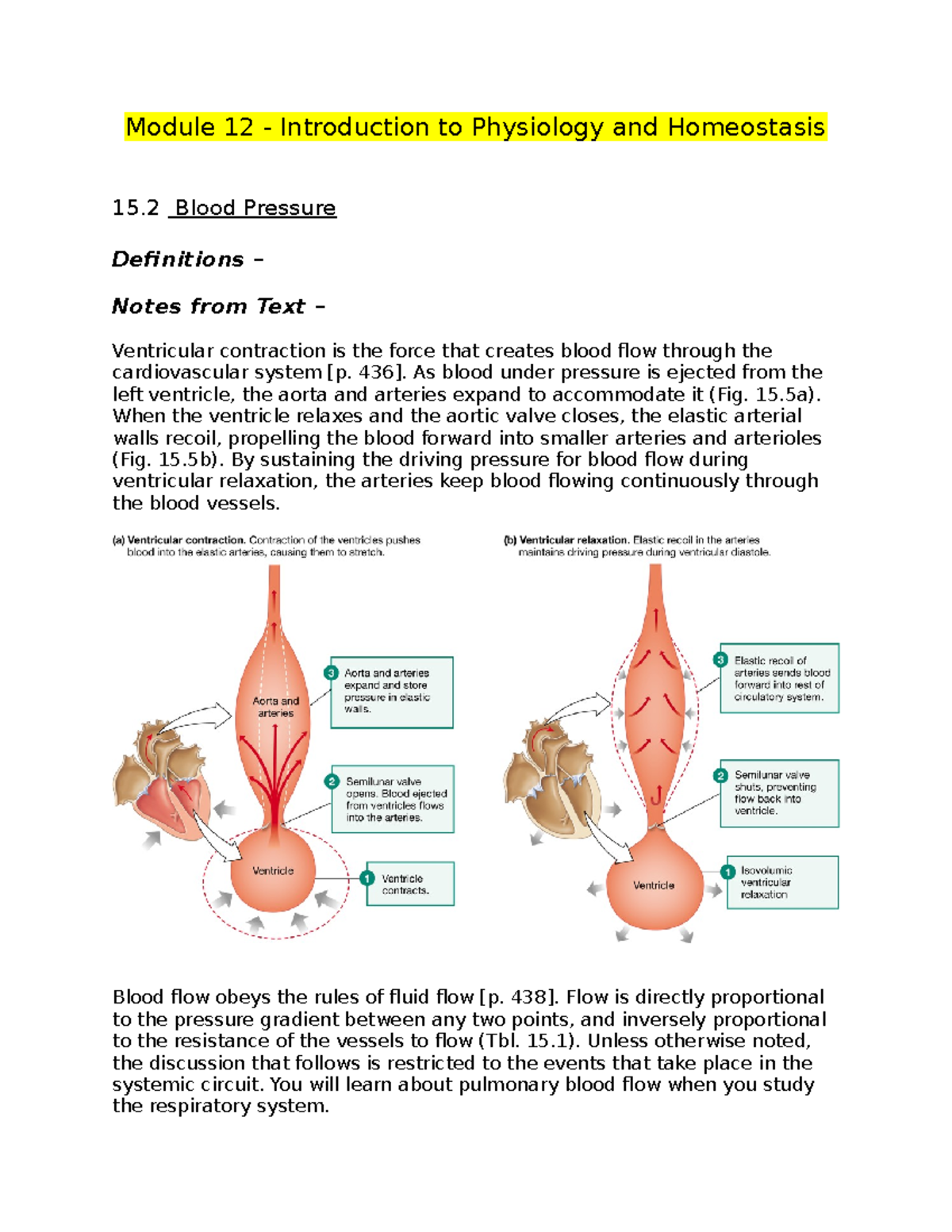 Module 12 - notes - Module 12 - Introduction to Physiology and ...
