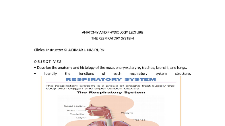 ANATOMY AND PHYSIOLOGY LECTURE: RESPIRATORY SYSTEM (AP 101) - Studocu