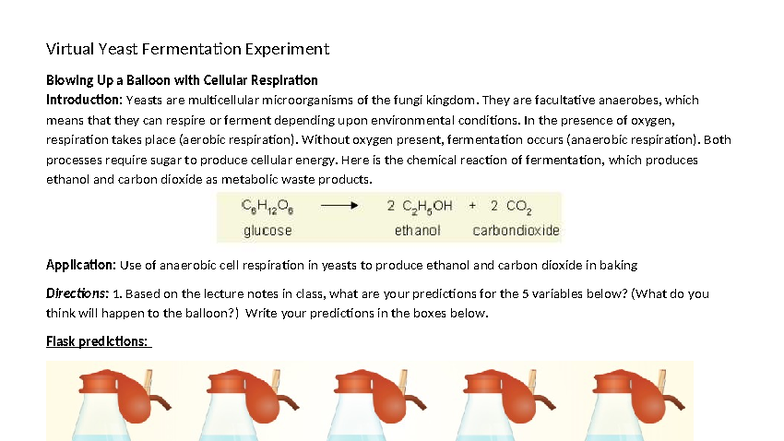 My Virtual Yeast Fermentation Experiment (BIO 101) - Studocu