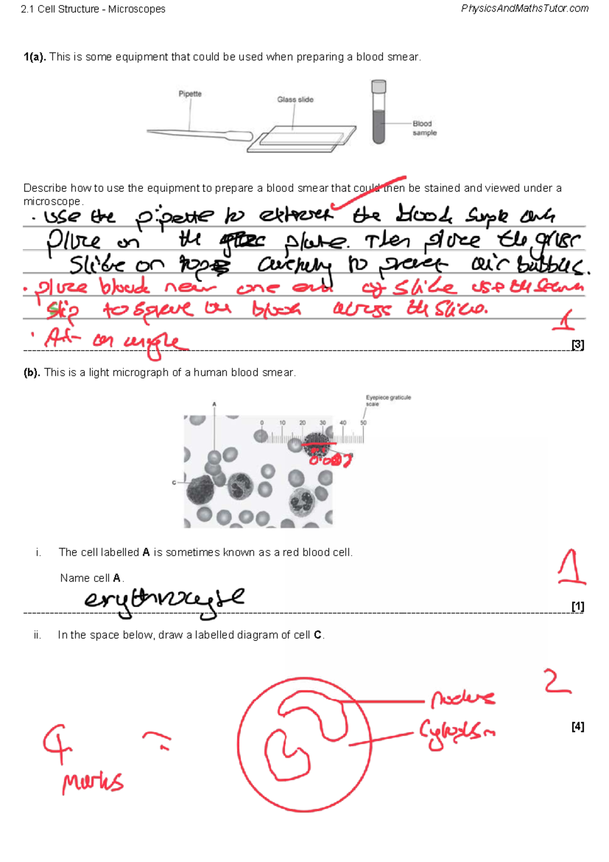 2.1 Cell Structure - Microscopes Question Paper - Studocu