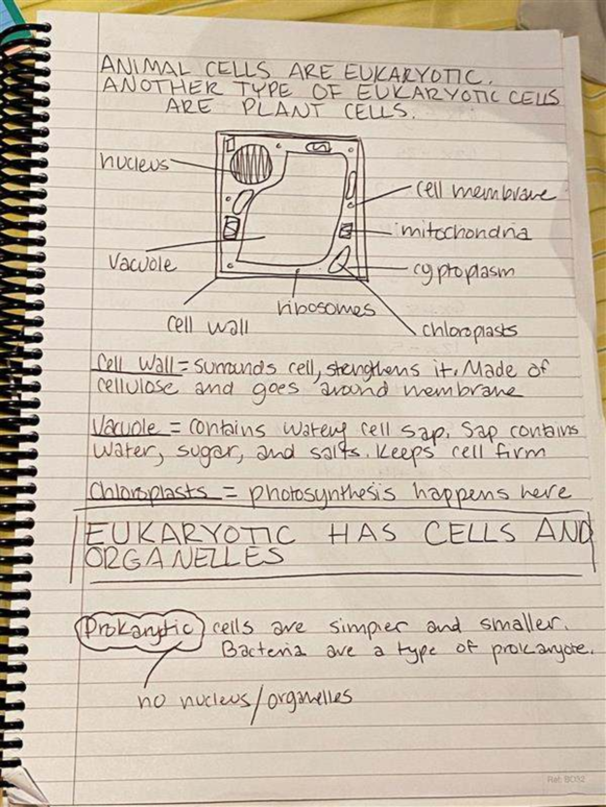 Biology 0B32: Eukaryotic Cells - Animal and Plant Cell Structures - Studocu
