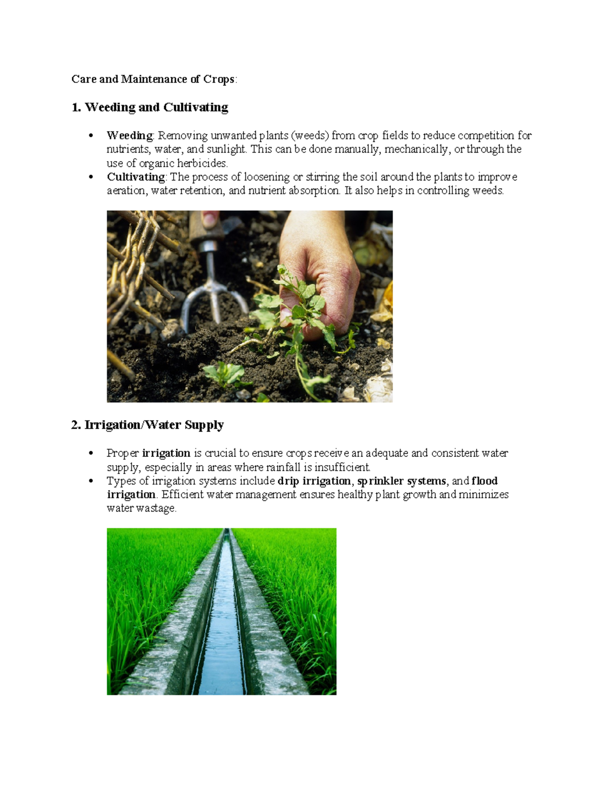 Quarter 2 Lesson 5 Care and Maintenance for Crop - Care and Maintenance ...