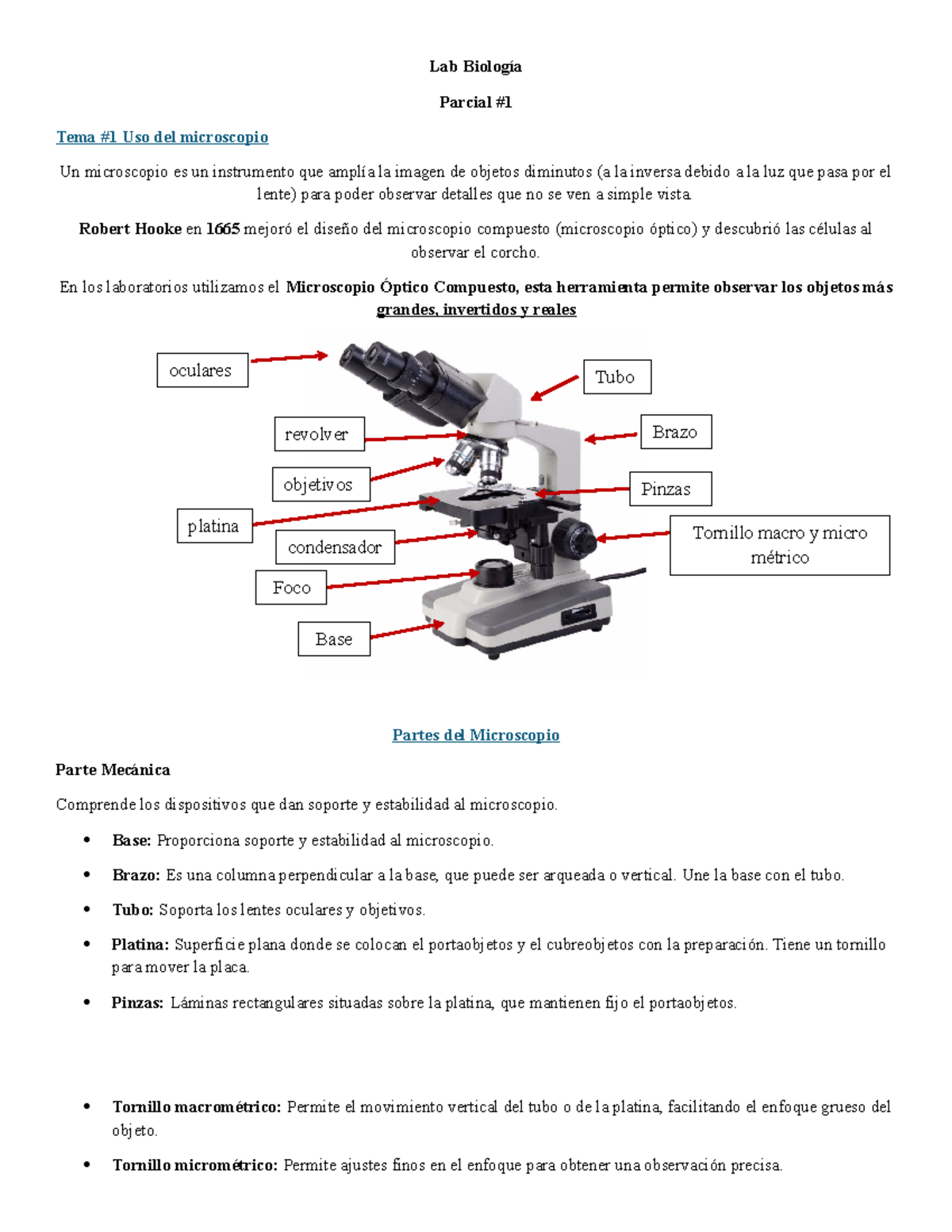 Parcial #1 Laboratorio de Biología: Uso del Microscopio y Técnicas ...