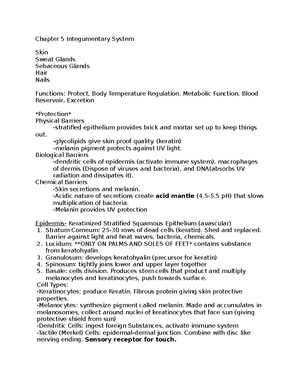 Exam 2 Study Guide - Exam 2 Study Guide Chapter 4: Tissues Tissues ...