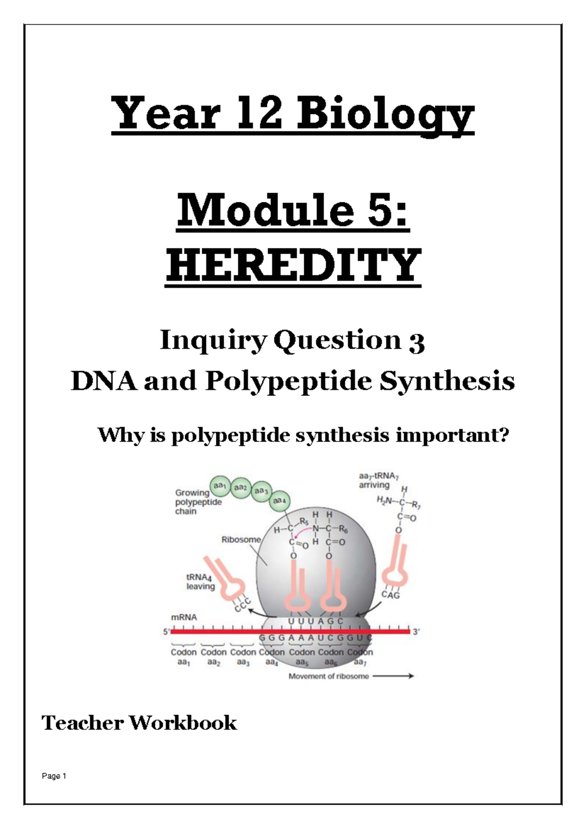 BIO M5IQ3: Teacher Workbook on DNA & Polypeptide Synthesis - Studocu