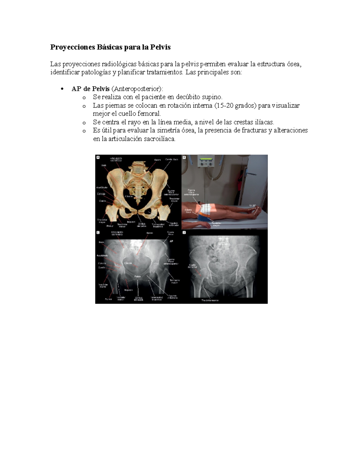 Proyecciones Radiológicas Básicas de Pelvis y Cadera - Estudio Completo ...